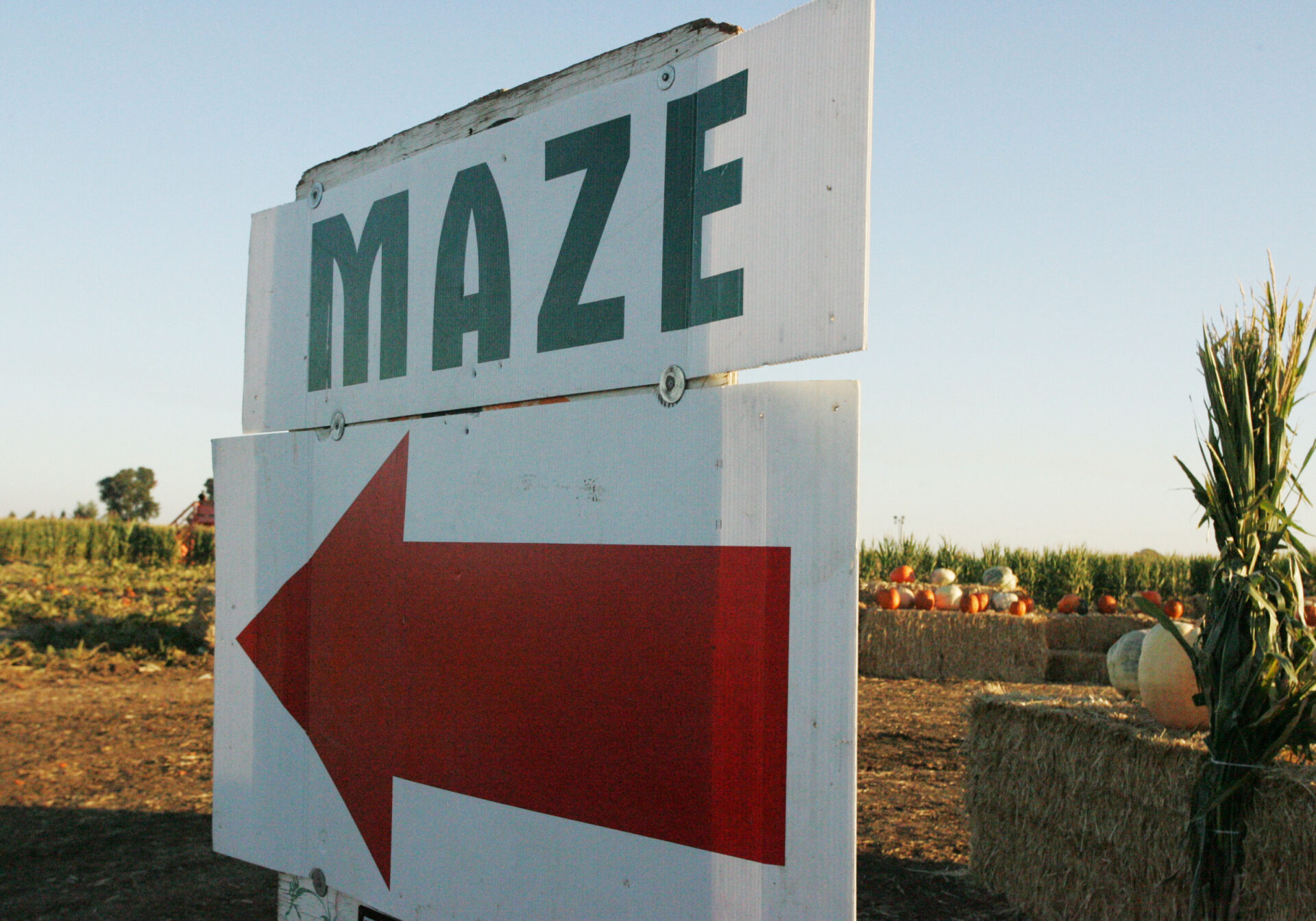 Farmer shares origins of Dixon corn maze | The Aggie