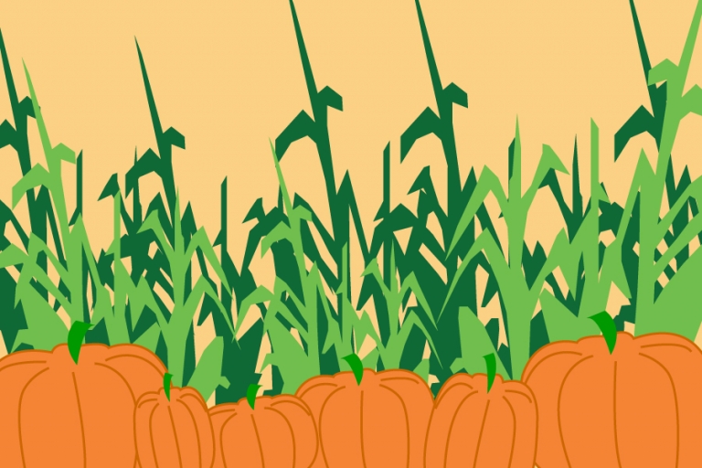 Pumpkin Patches near Davis | The Aggie