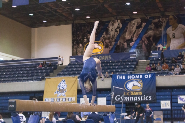 Women’s gymnastics falls just short to West Virginia in season home ...