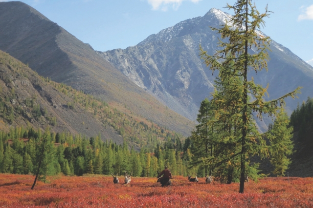 Why cities are where they are | The Aggie