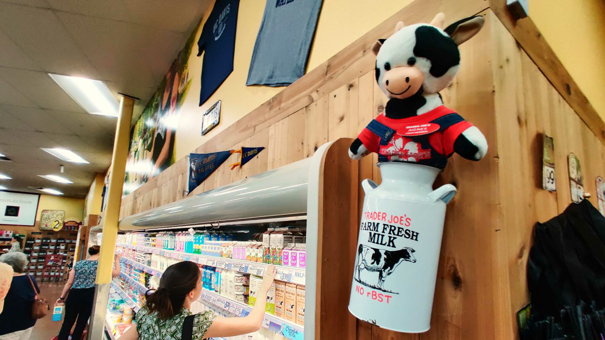 Davis Trader Joe’s adopts new store mascot, Agnes the Cow | The Aggie