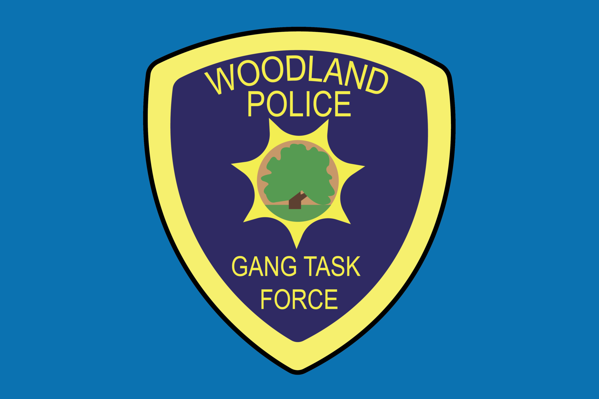 Gang task force organized by Woodland Police Department in response to ...