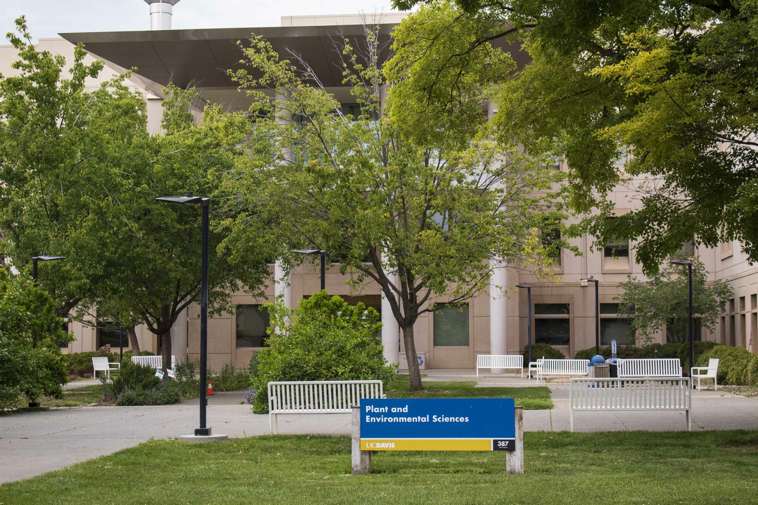 UC Davis professors speak to environmental changes COVID-19 pandemic ...