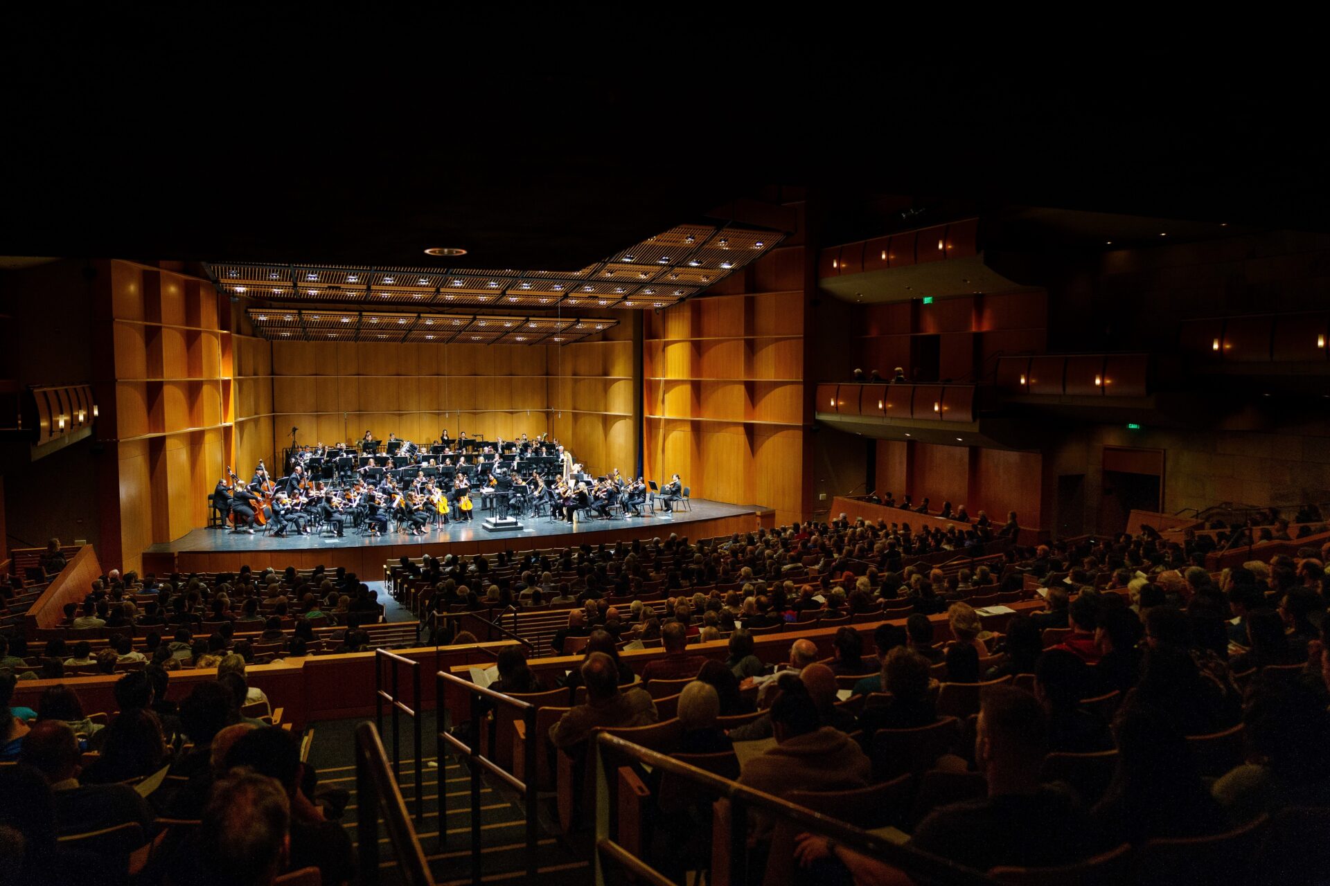 Exploring the forgotten instruments of the orchestra | The Aggie