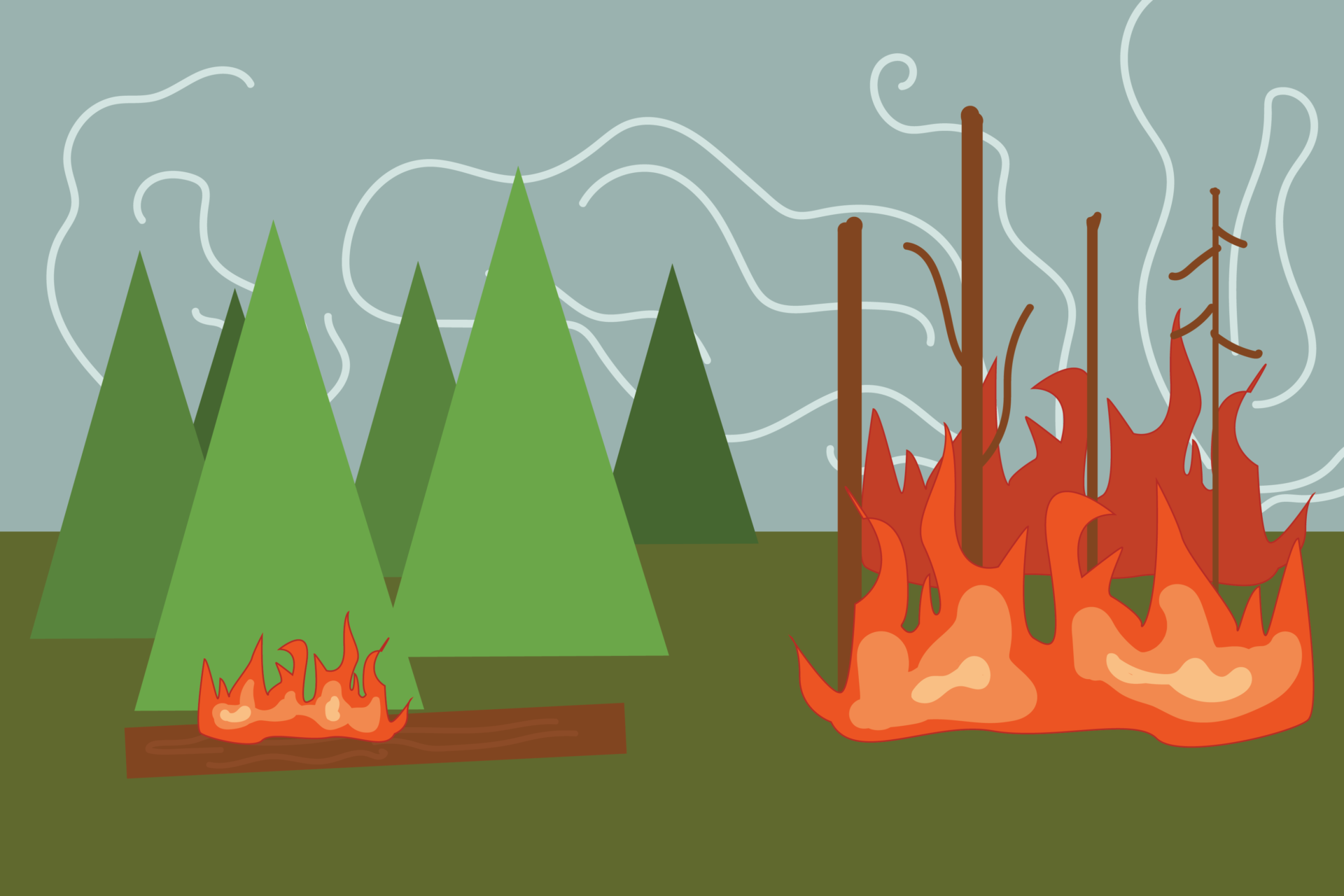 ‘Bad’ fires are burning forest ecosystems in the Sierra Nevada ...