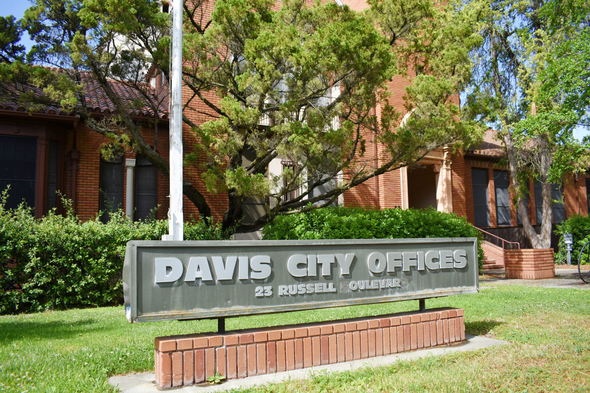 City council candidate Donna Neville leading in unofficial election ...