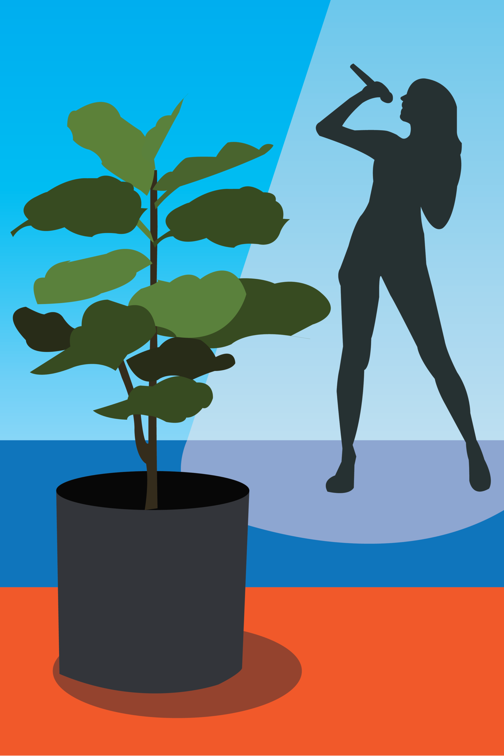 Taylor Swift: A pop icon, lyrical mastermind and remote plant ...