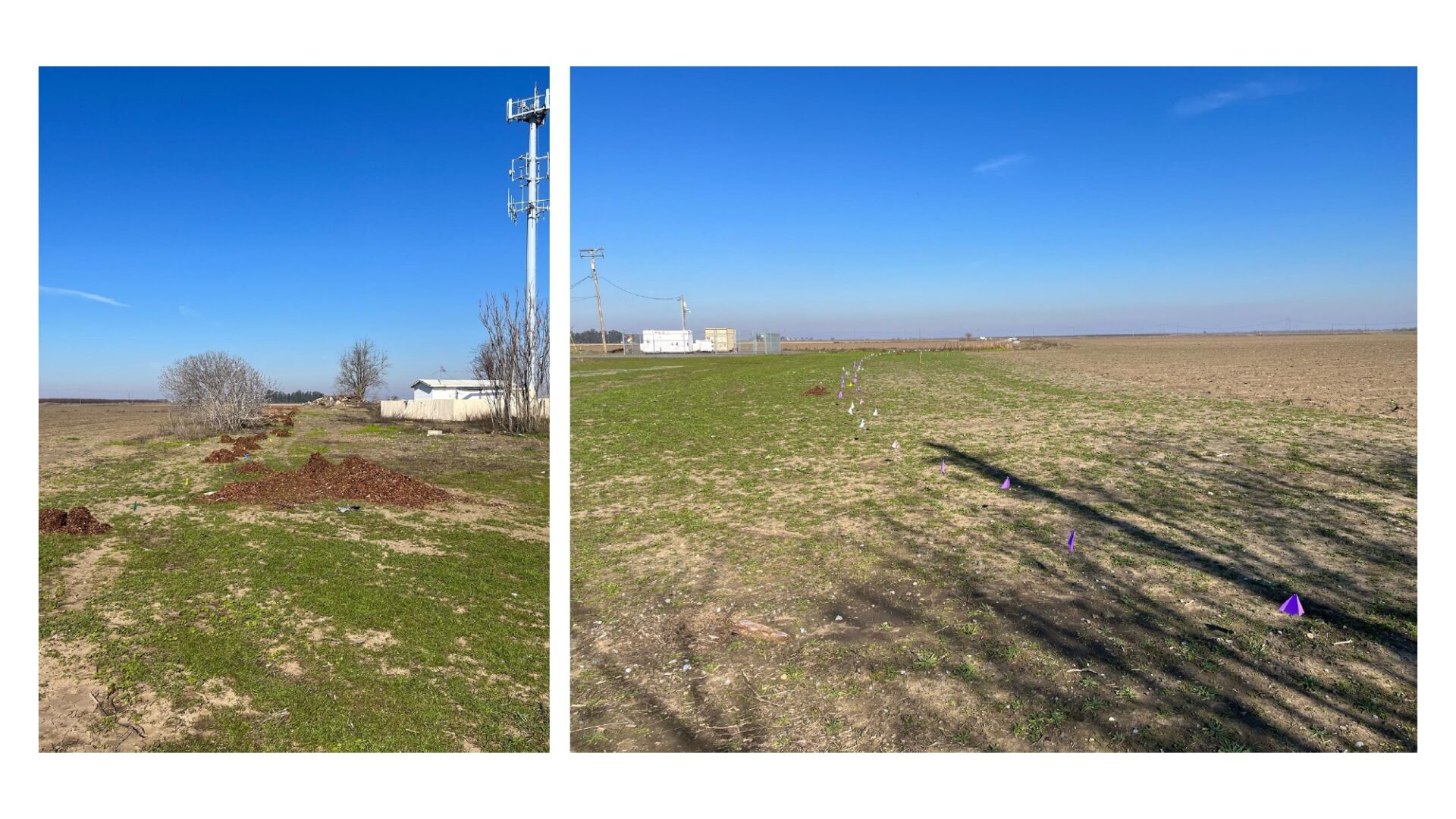 New carbon farming techniques can help mitigate climate change | The Aggie