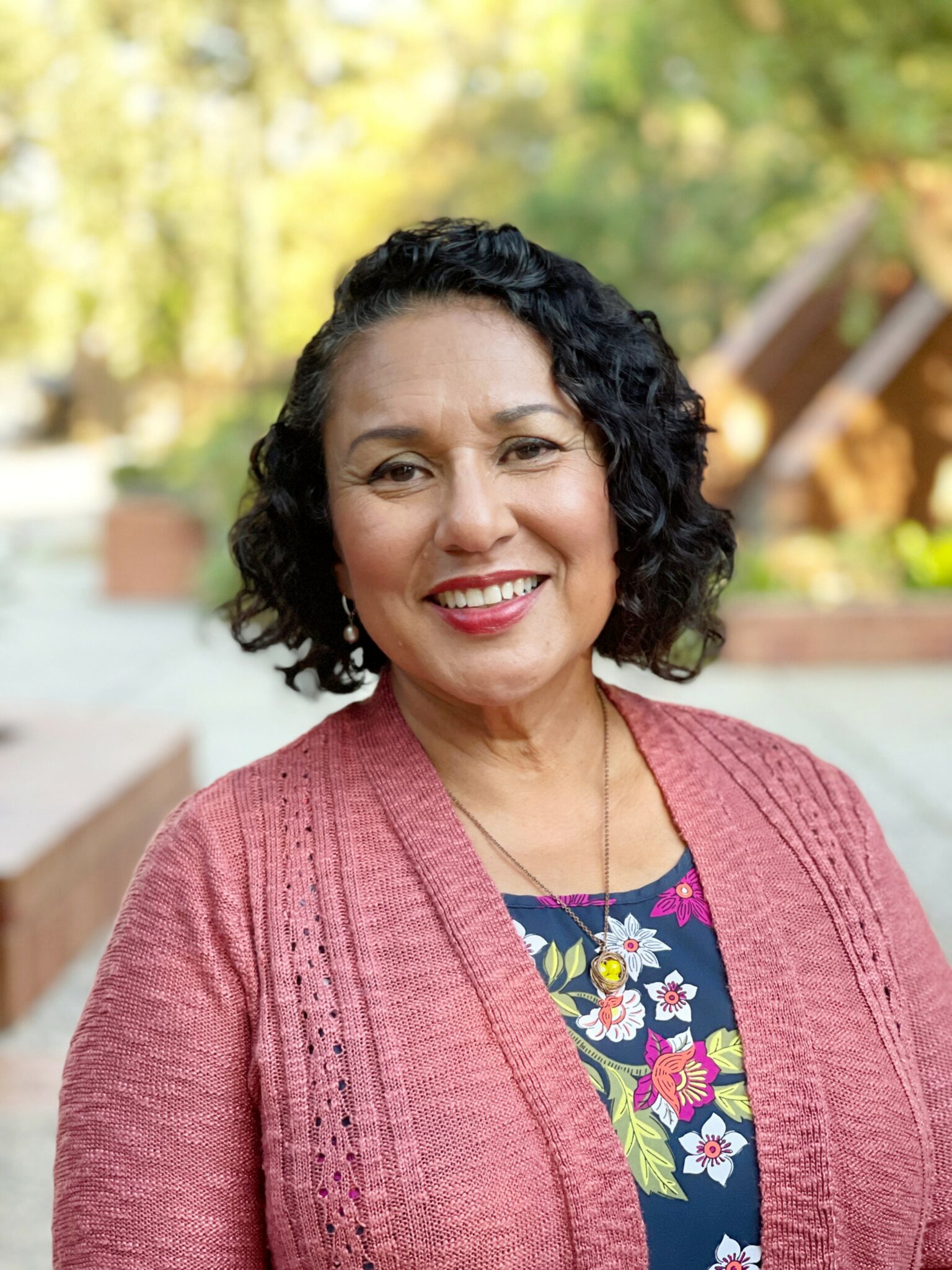 Meet the Davis City Council | The Aggie