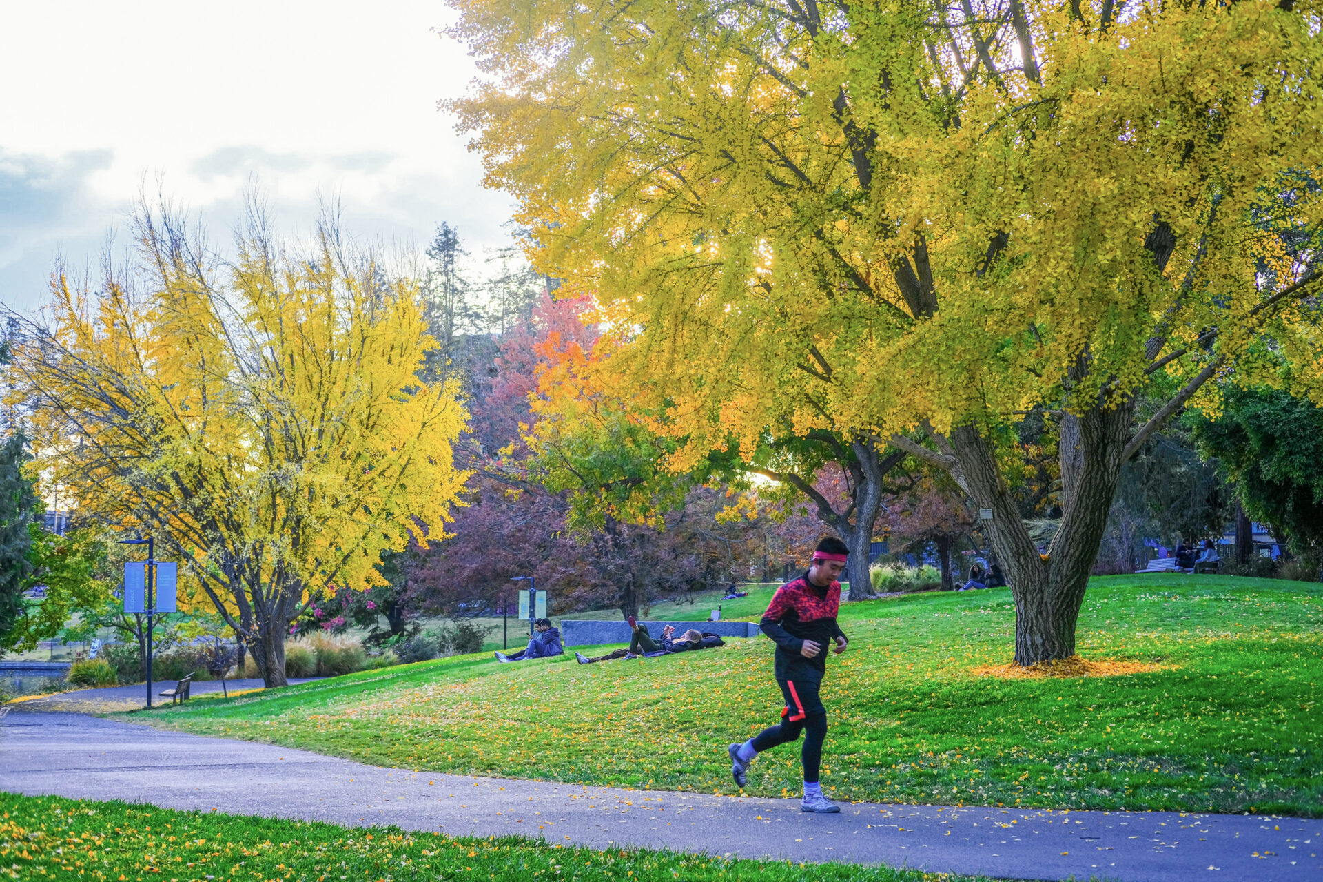 UC Davis Arboretum brings health and wellness to our community | The Aggie