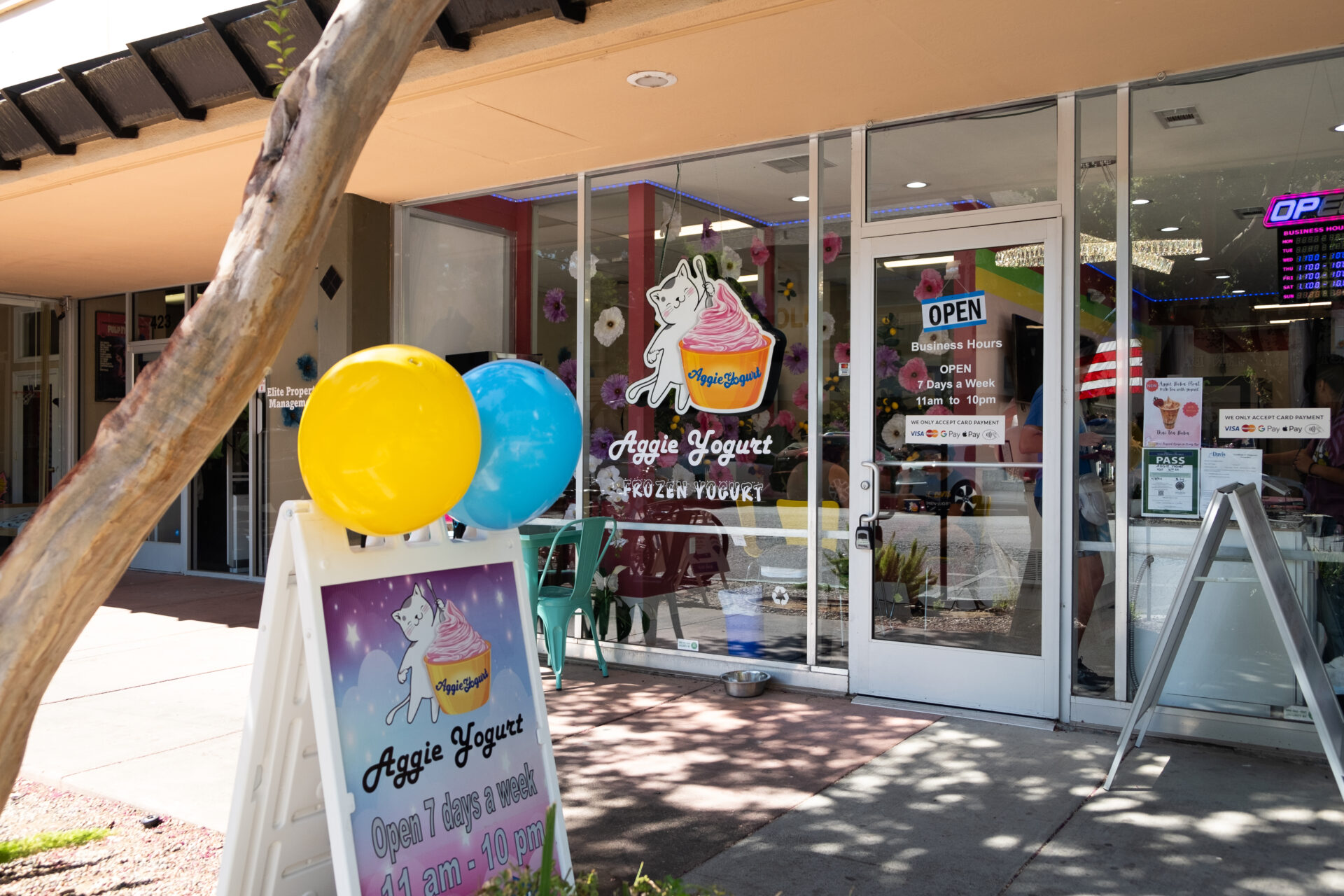 Aggie Yogurt opens on 2nd street | The Aggie
