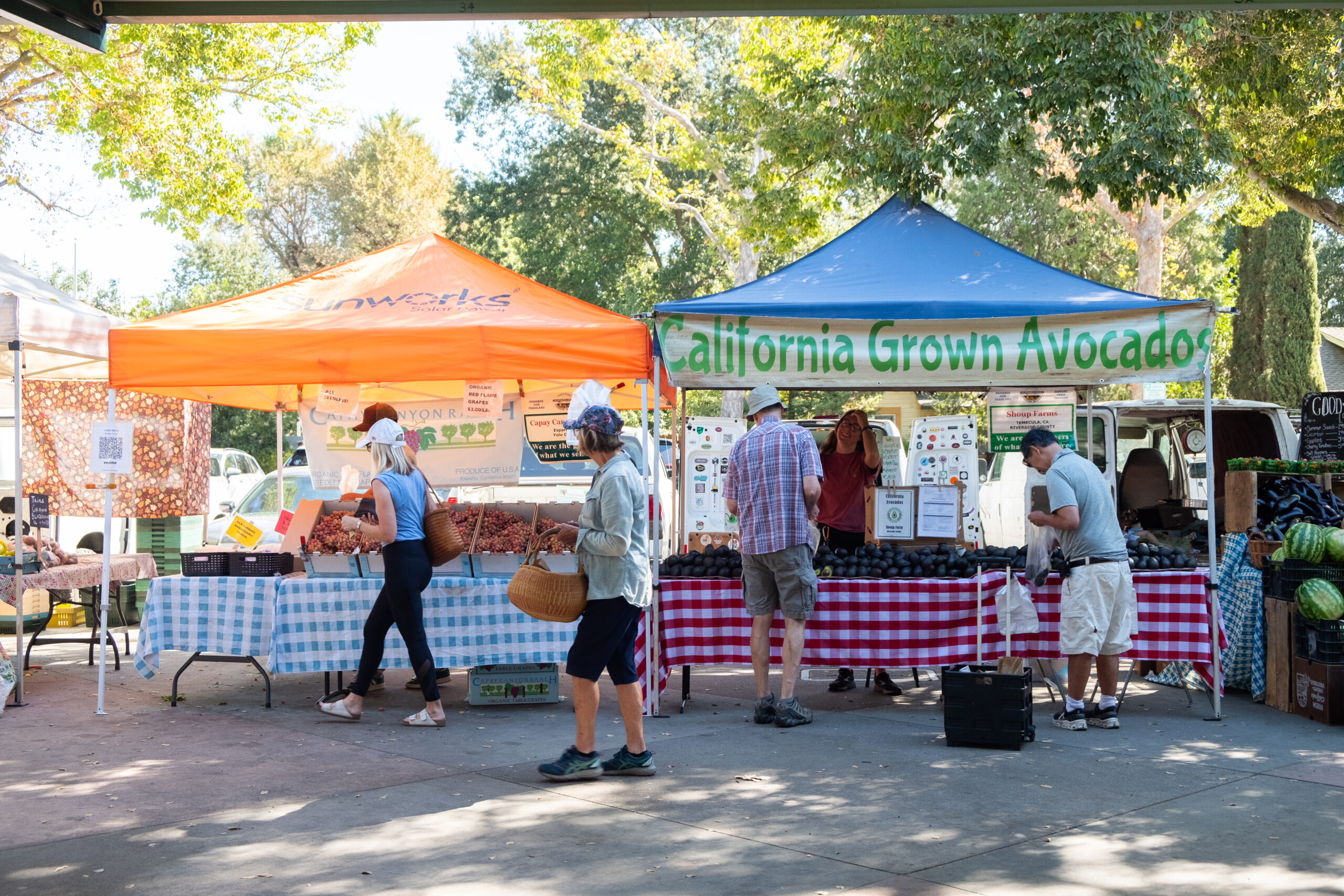 An introduction to the Davis Farmers Market - The Aggie