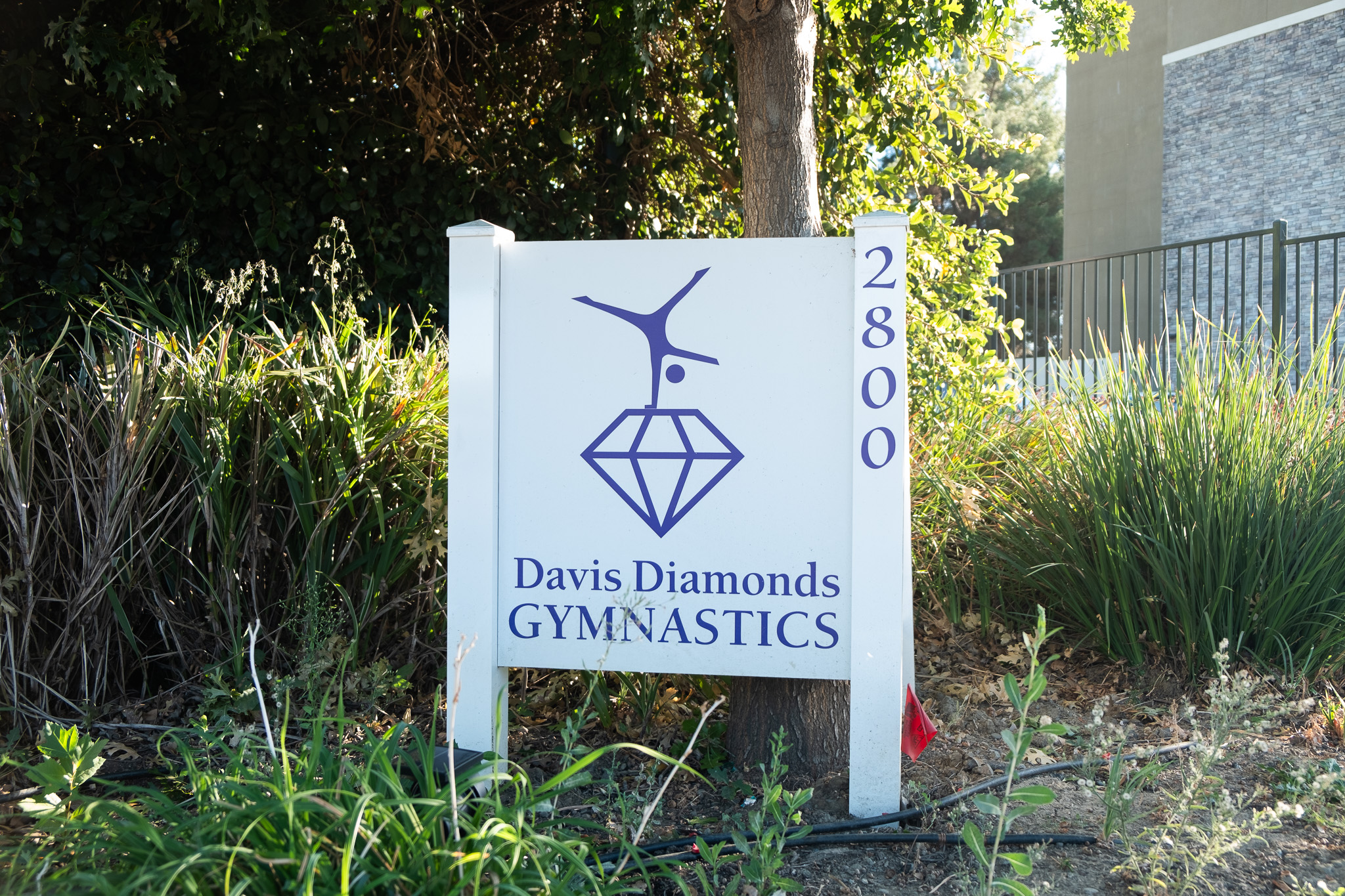 Students build strength, flexibility and confidence through gymnastics ...