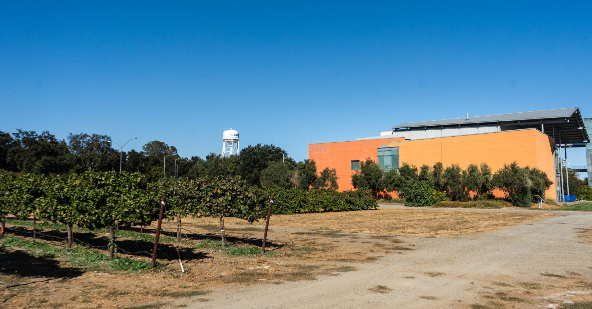 UC Davis Continuing and Professional Education offers winemaking ...
