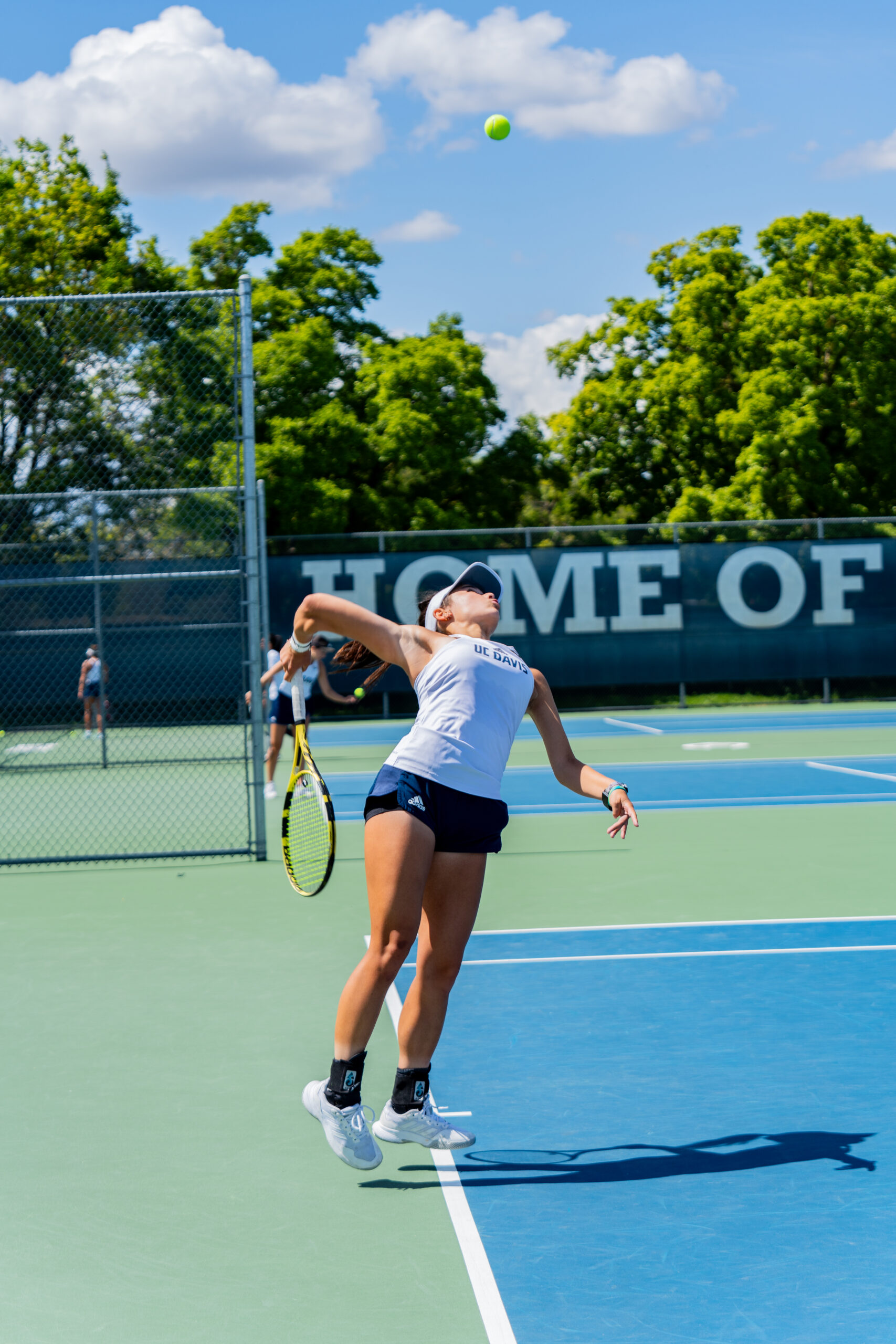 UC Davis women’s tennis team takes a loss at their regional ...