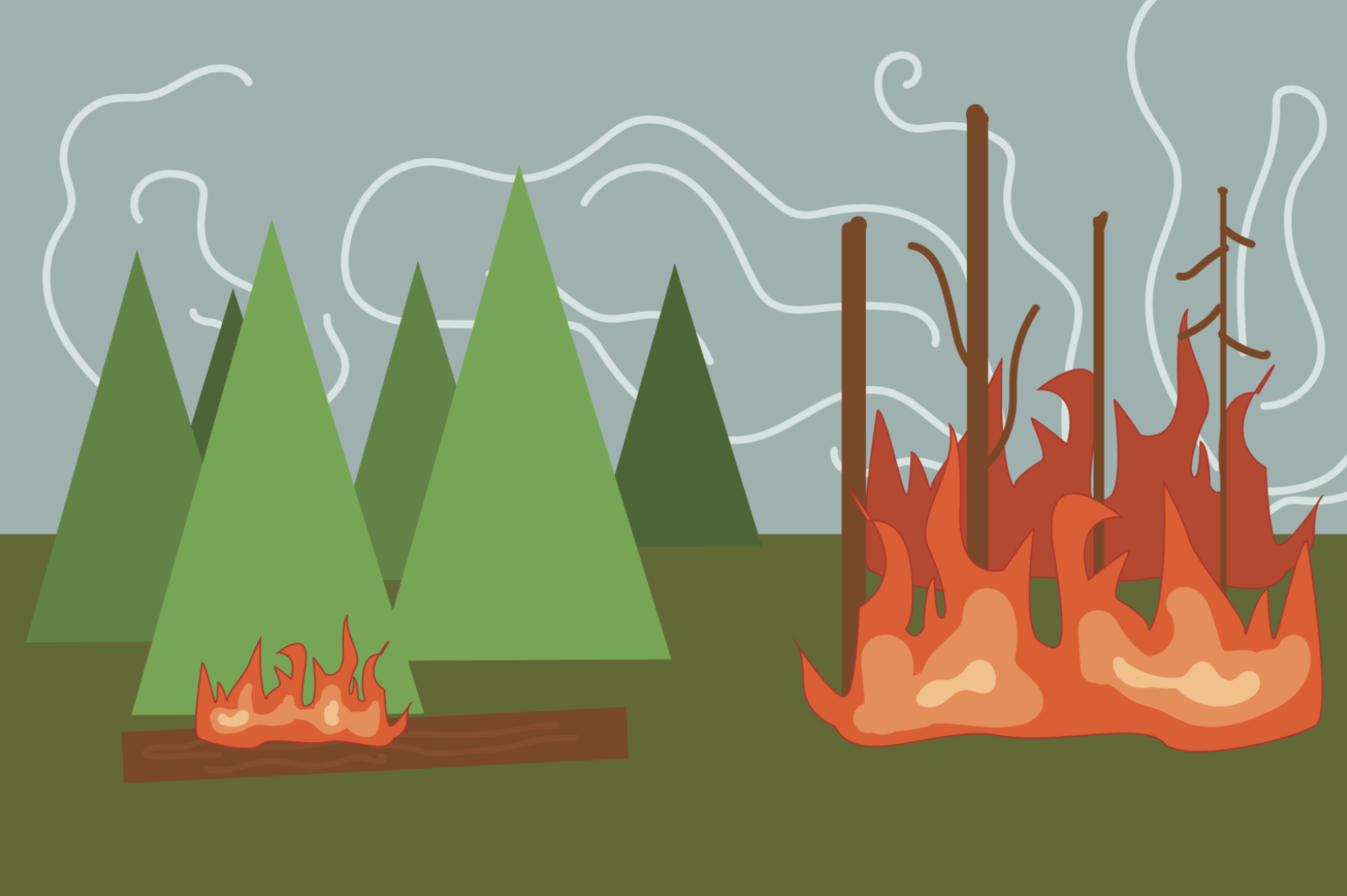 Smoke from Shasta County’s Shoe Fire worsens air quality in Davis | The ...