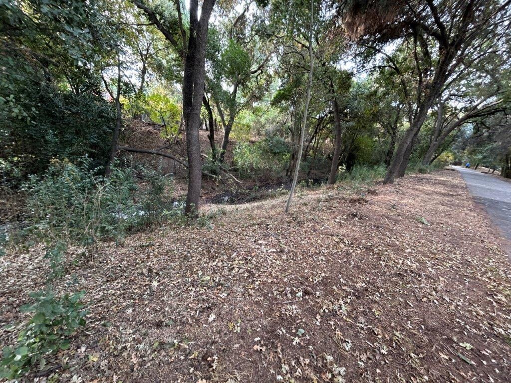 The city of Davis partners with California Conservation Corps for ...