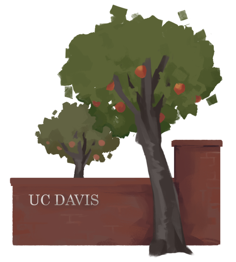 UC Davis should plant more fruit trees | The Aggie